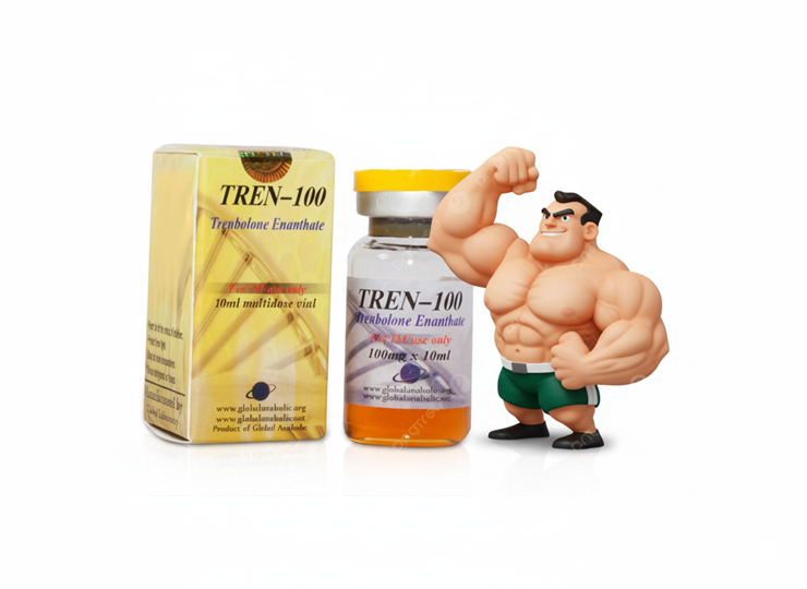 Trenbolone Cycle Guide: Beginner to Advanced