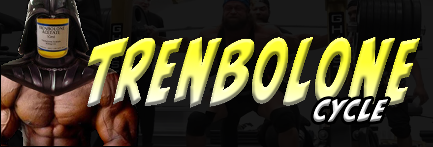 Trenbolone Cycle Guide: Beginner to Advanced